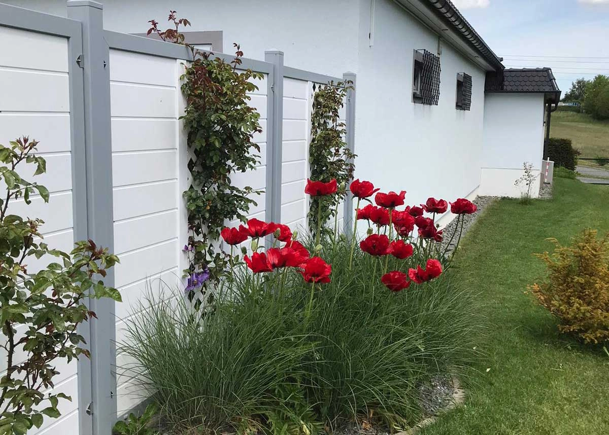 Stilvolle Sichtschutz Zu Verschenken Bilder